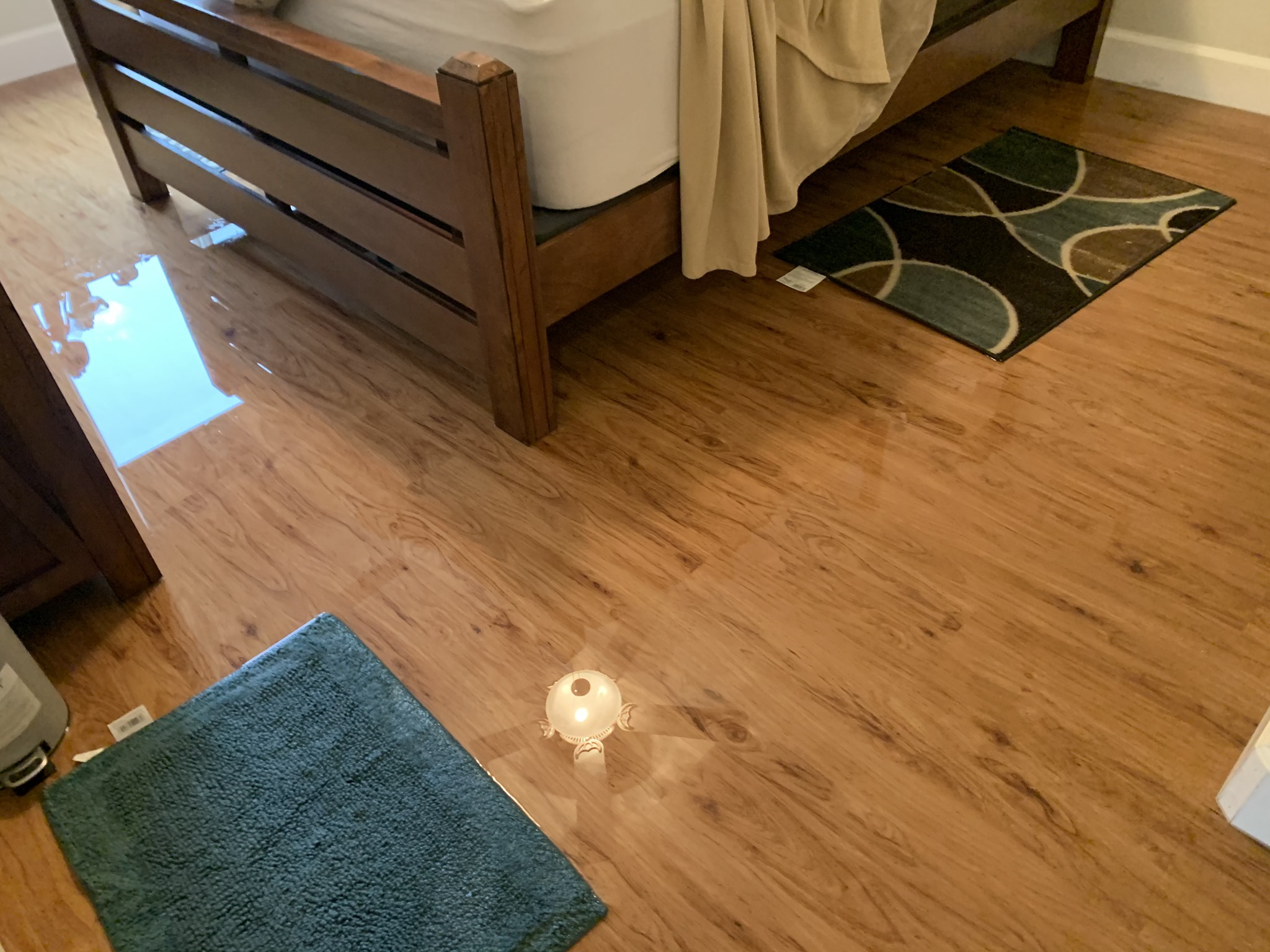 Water Extraction Services | New Sunrise Cleaning and Restoration